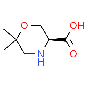 (S)-6,6-Dimethyl-morpholine-3-carboxylic acid - CAS:783349-44-0 - J&W ...